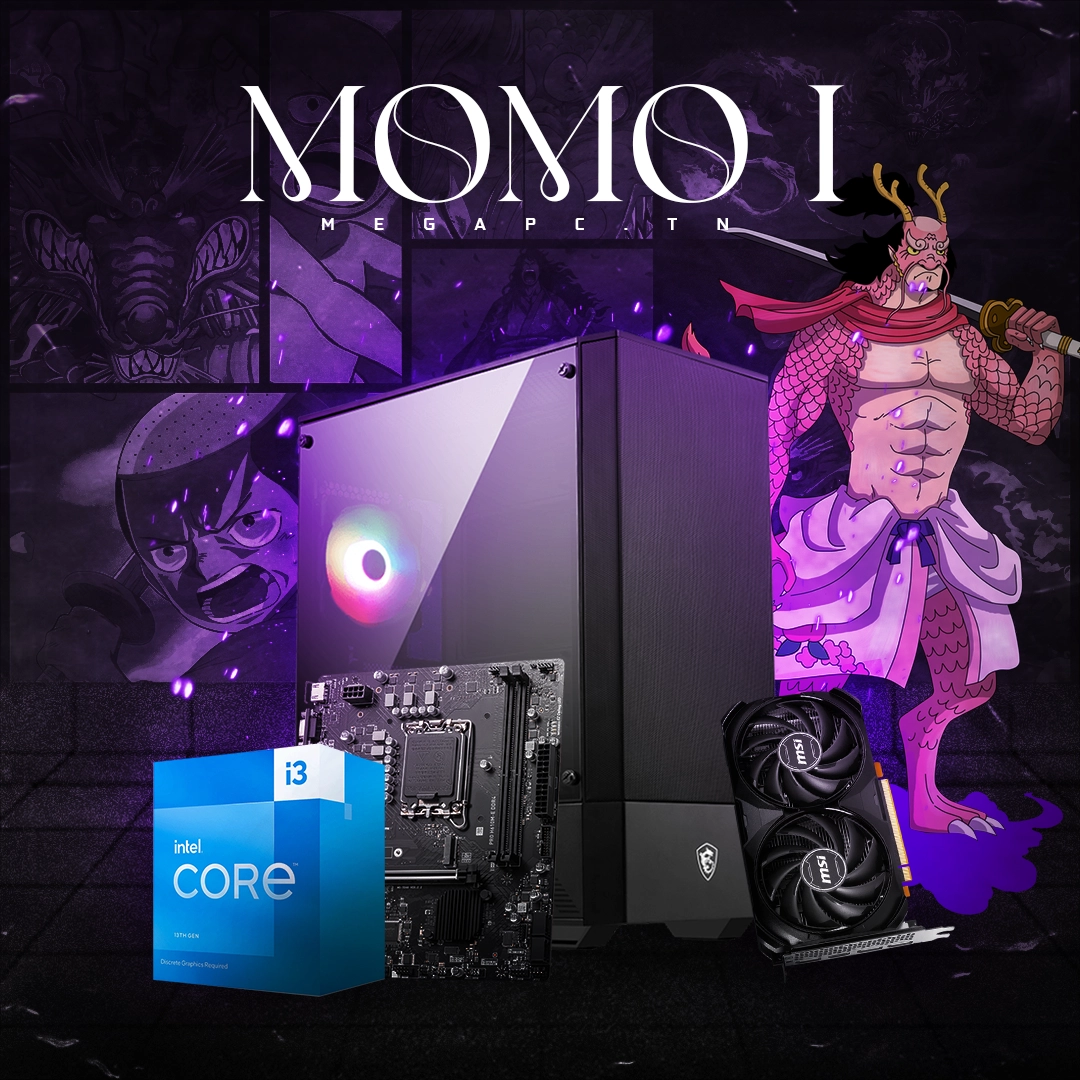 Momo | I3-13100F | RTX 4060 | 8GB RAM | 500 NVMe