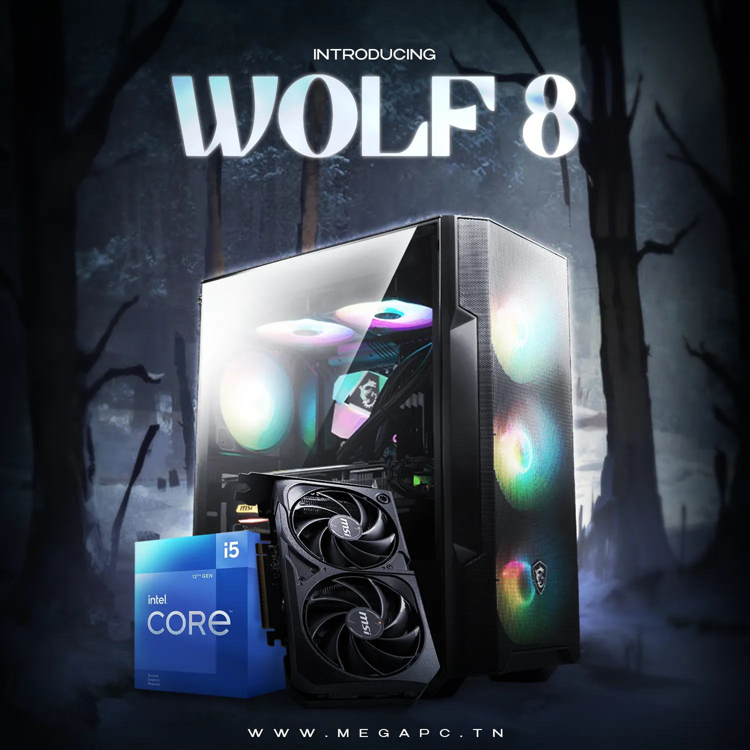 PC Gamer Wolf 8 – Intel Core i5-12400F | RTX 5060 | 32GB DDR4 | 512GB ...